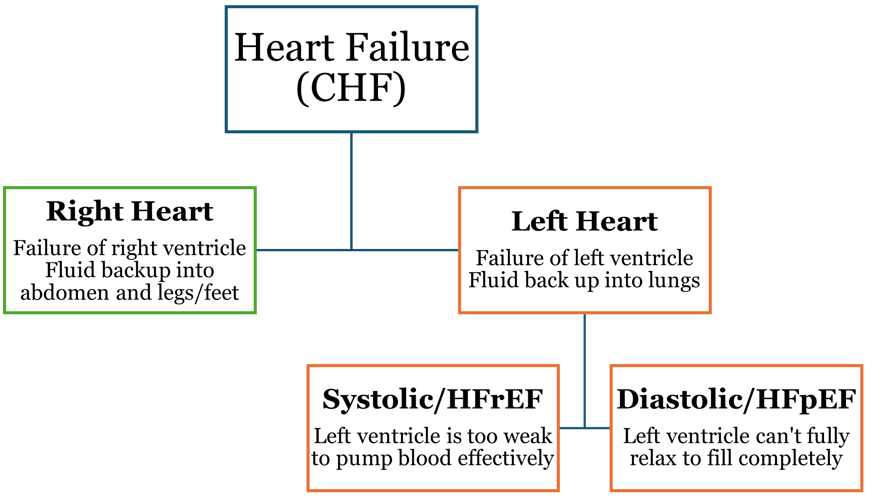 Coding Heart Failure Documented as HFrEF or HFpEF