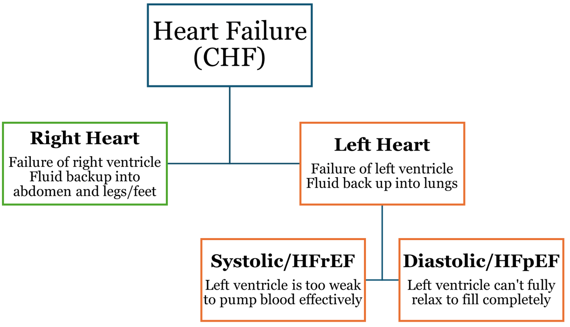 Coding Heart Failure Documented as HFrEF or HFpEF