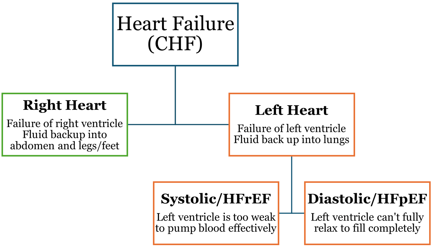 Coding Heart Failure Documented as HFrEF or HFpEF